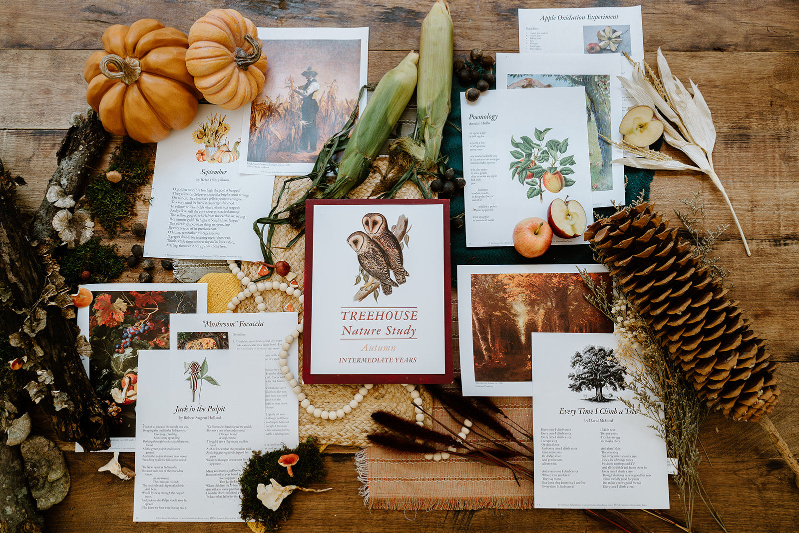 Autumn – Treehouse Schoolhouse