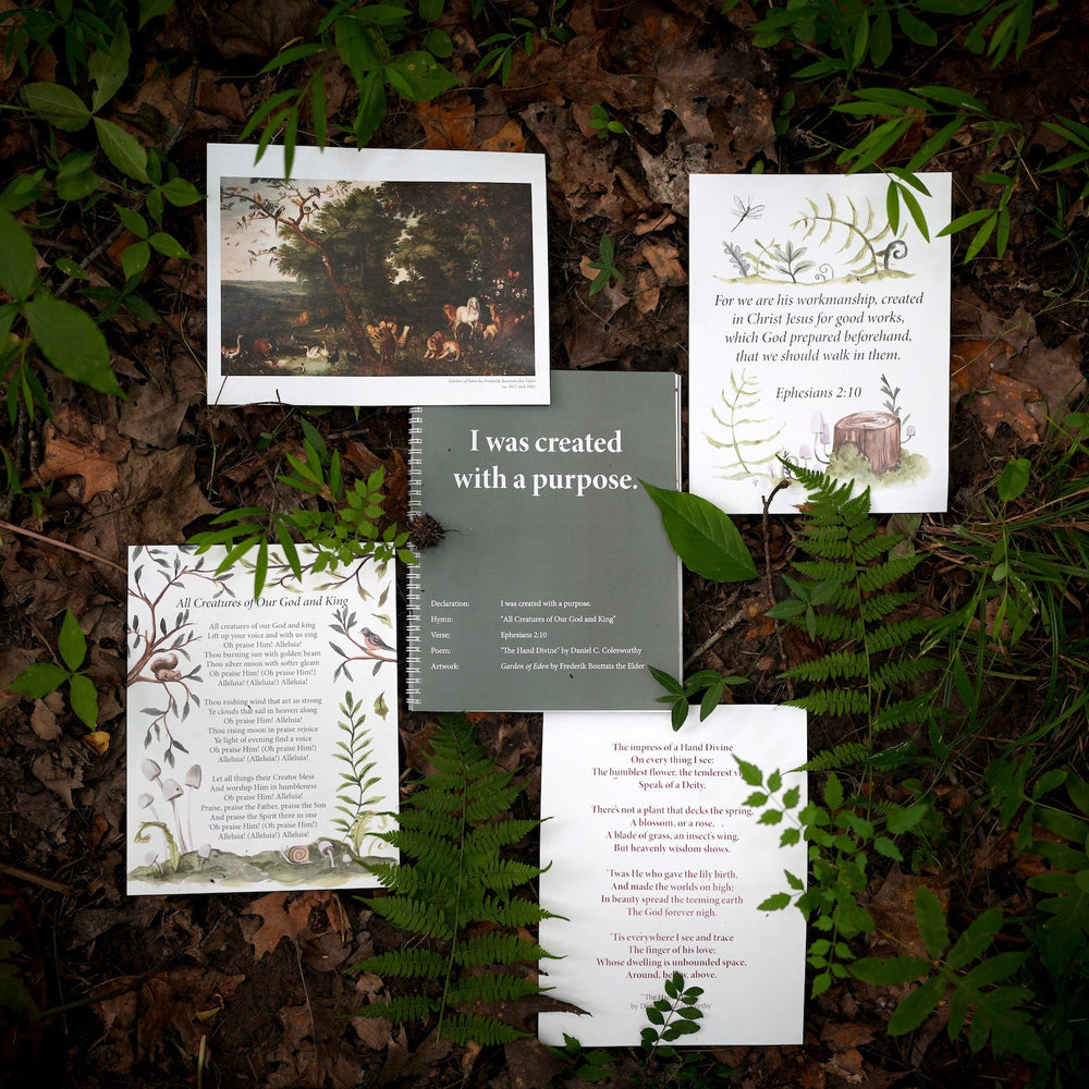 Family Bible Curriculum – Treehouse Schoolhouse