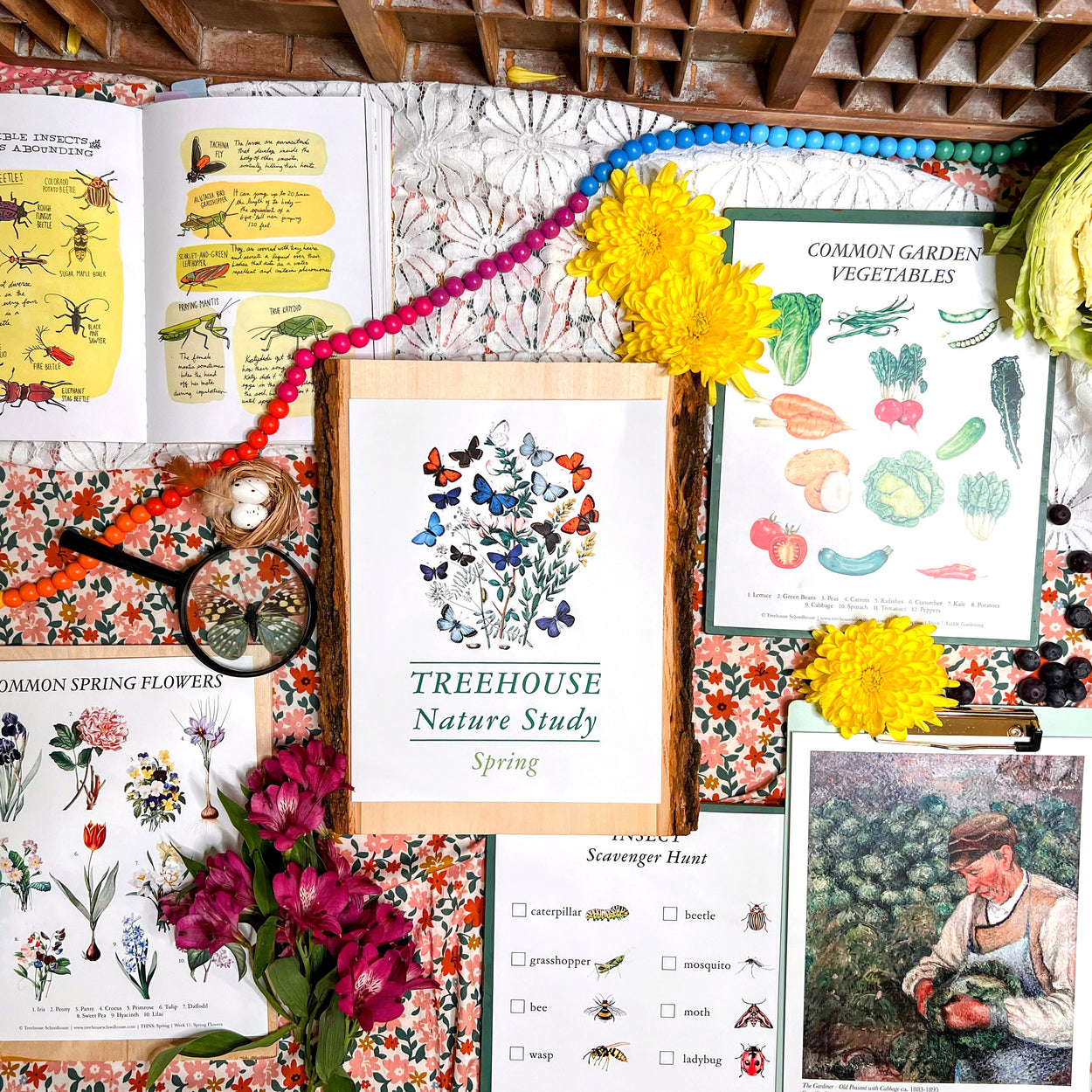 Treehouse Nature Study: Spring, Intermediate Years – Treehouse Schoolhouse