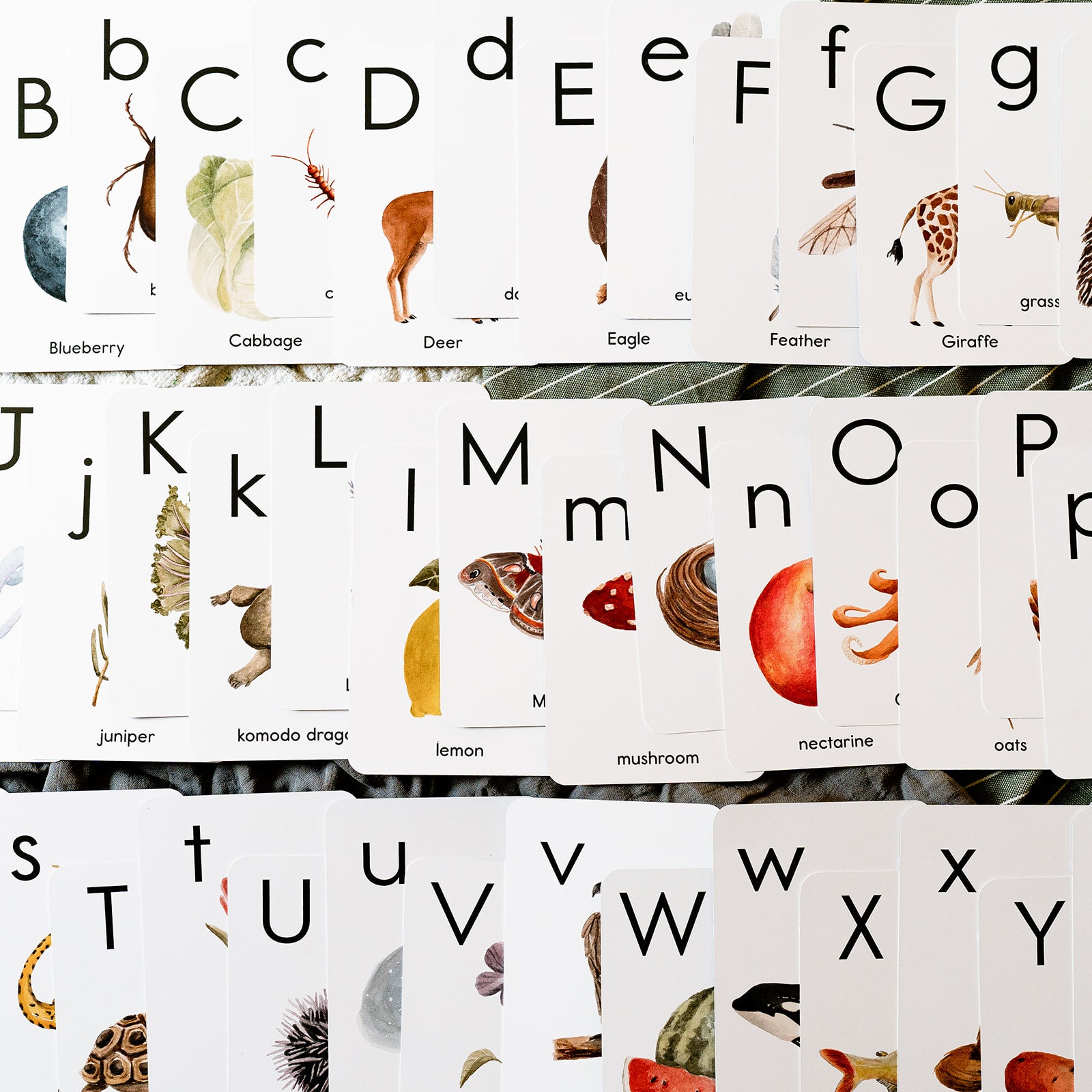 Wonder of Nature Alphabet Print Cards – Treehouse Schoolhouse