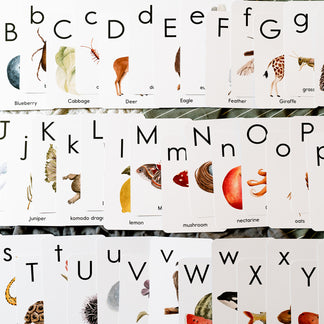 Wonder of Nature Alphabet Print Cards – Treehouse Schoolhouse
