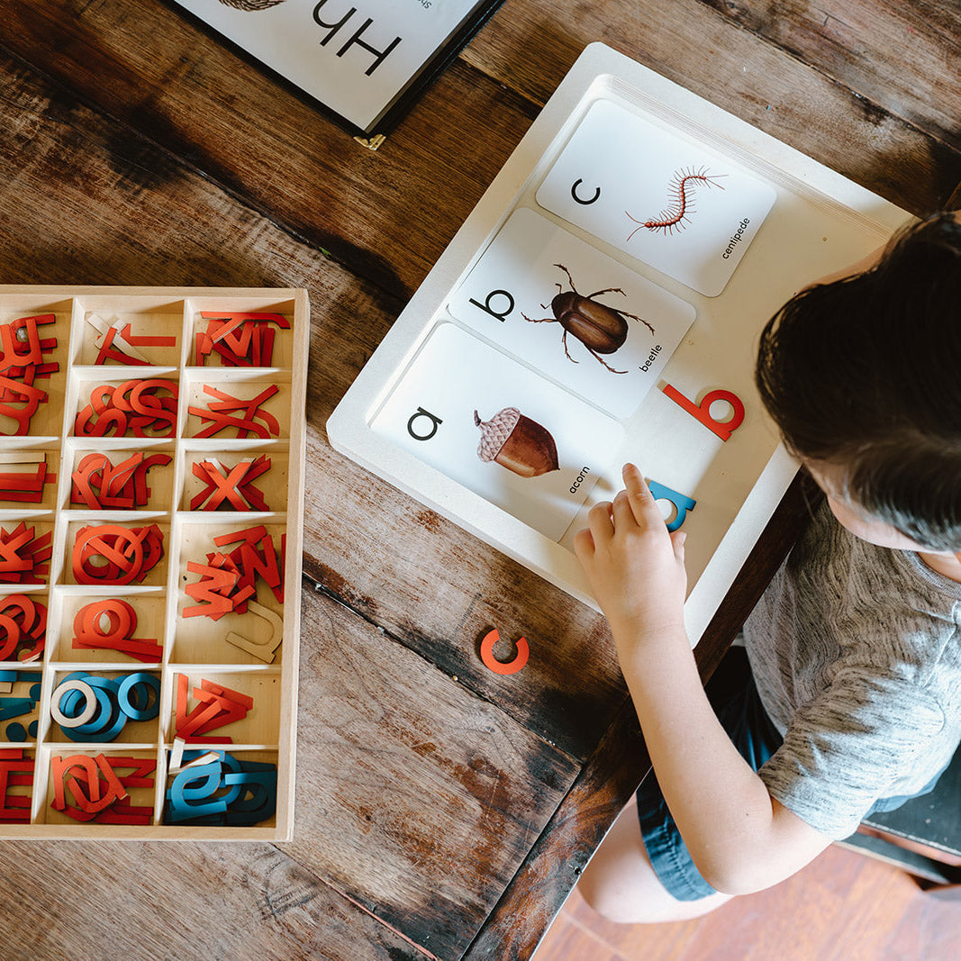 Wonder of Nature Alphabet Print Cards – Treehouse Schoolhouse