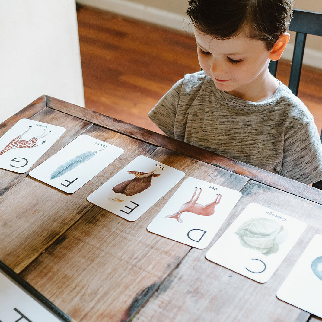 Wonder of Nature Alphabet Print Cards – Treehouse Schoolhouse