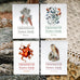 Treehouse Nature Study: Four Seasons Collection, Primary Years ...