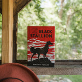 The Black Stallion Book Study – Treehouse Schoolhouse