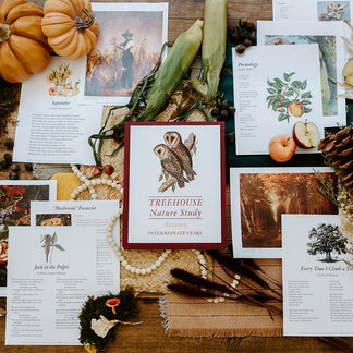 Treehouse Nature Study: Autumn, Intermediate Years – Treehouse Schoolhouse