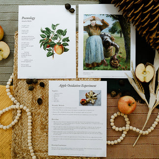 Treehouse Nature Study: Autumn, Intermediate Years – Treehouse Schoolhouse