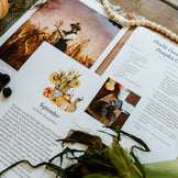 Treehouse Nature Study: Autumn, Intermediate Years – Treehouse Schoolhouse