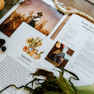 Treehouse Nature Study: Autumn, Intermediate Years – Treehouse Schoolhouse