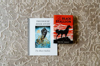 The Black Stallion Book Study – Treehouse Schoolhouse
