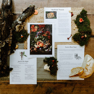 Treehouse Nature Study: Four Seasons, Intermediate Years – Treehouse ...