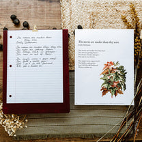 Treehouse Nature Study: Autumn, Intermediate Years – Treehouse Schoolhouse