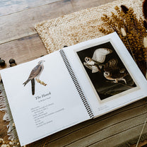 Treehouse Nature Study: Autumn, Intermediate Years – Treehouse Schoolhouse