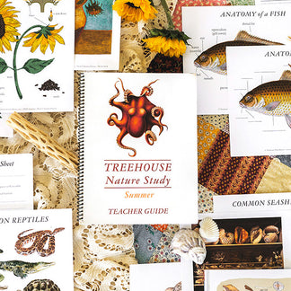 Treehouse Nature Study: Summer – Treehouse Schoolhouse