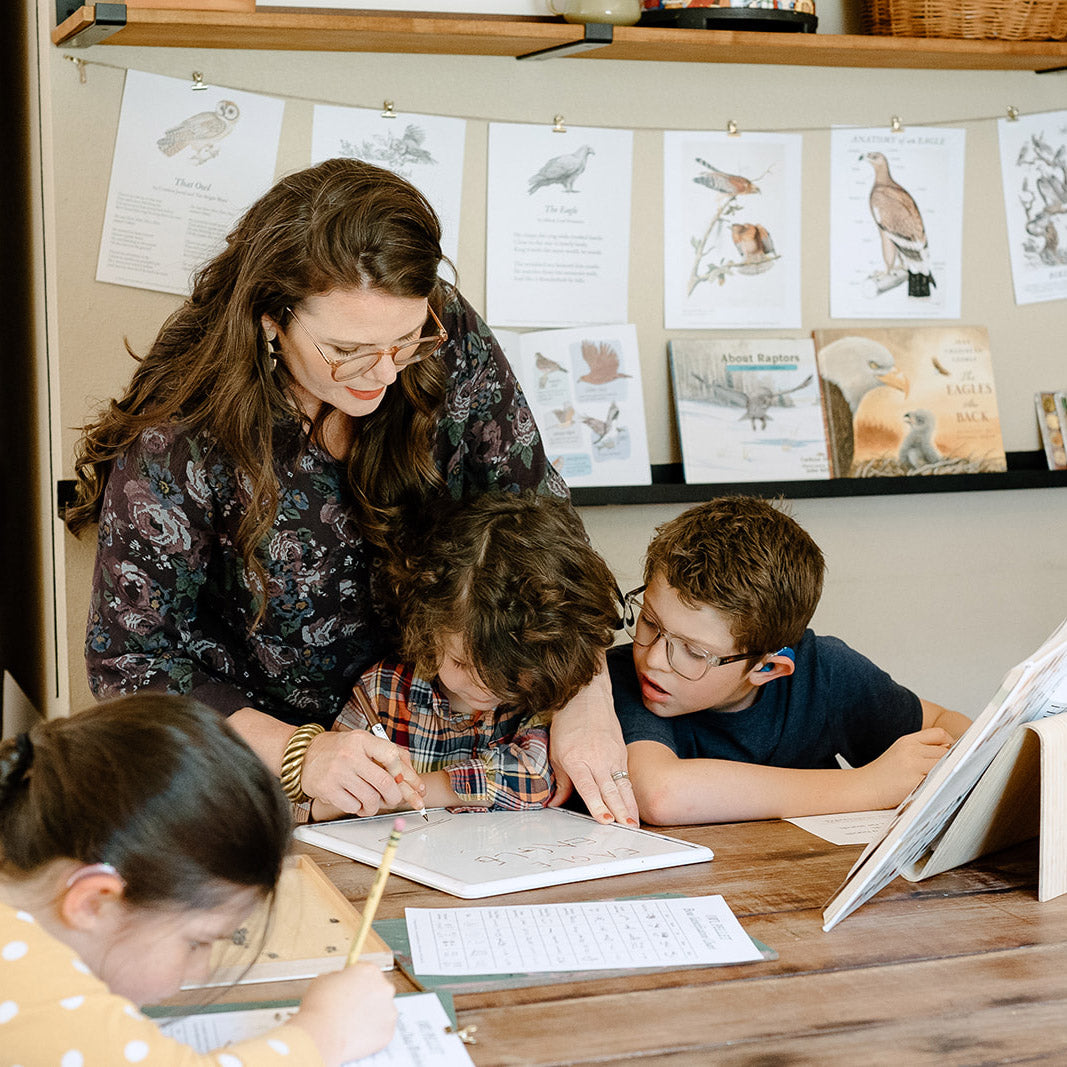 Treehouse Nature Study: Autumn, Primary Years – Treehouse Schoolhouse