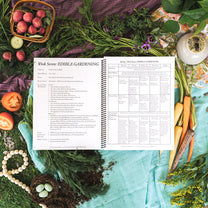 Treehouse Nature Study: Spring, Primary Years – Treehouse Schoolhouse