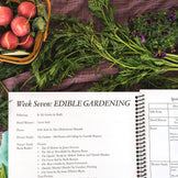 Treehouse Nature Study: Spring, Primary Years – Treehouse Schoolhouse