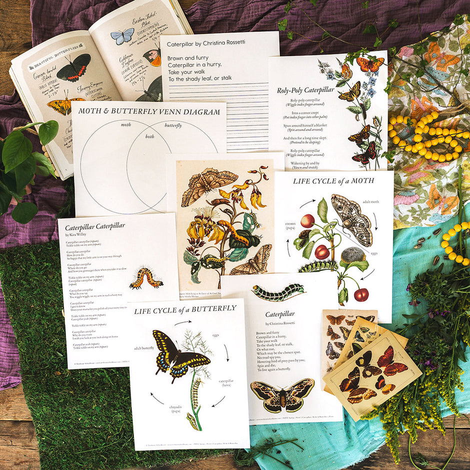 Treehouse Schoolhouse | Home Education • Motherhood • Homemaking