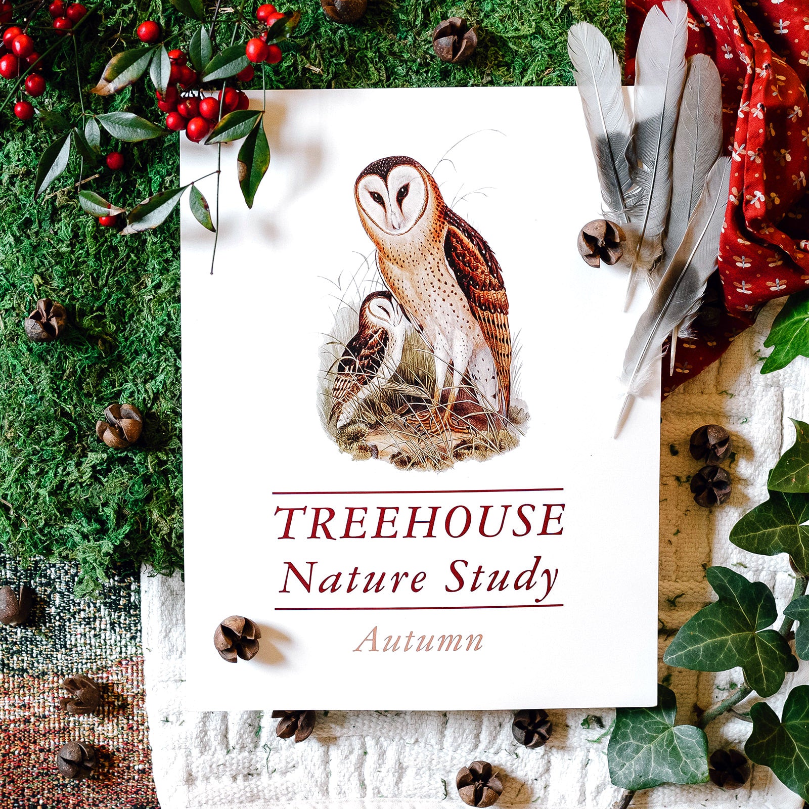 Treehouse Nature Study: Autumn, Primary Years – Treehouse Schoolhouse