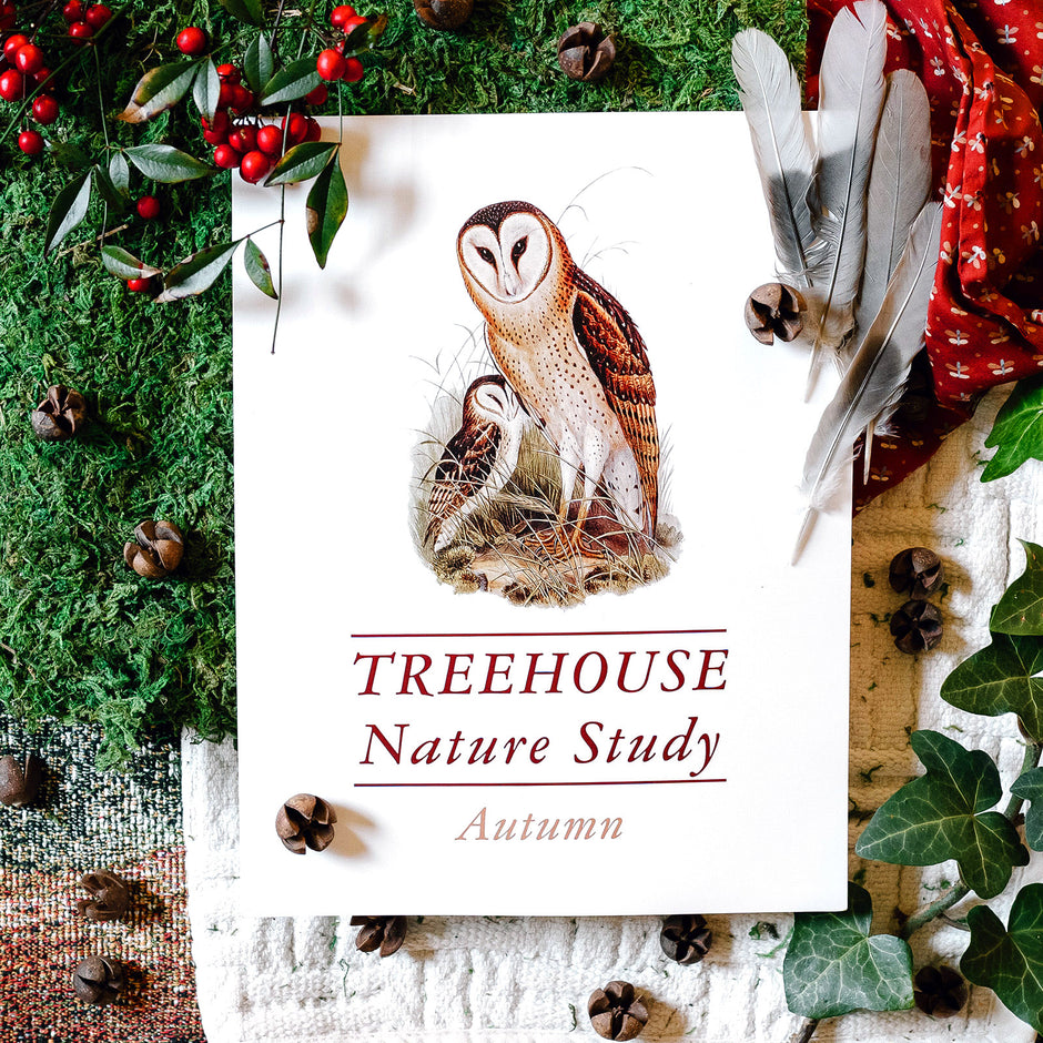 Treehouse Schoolhouse | Home Education • Motherhood • Homemaking