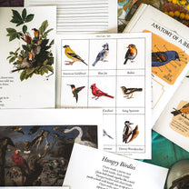 Treehouse Nature Study: Spring, Primary Years – Treehouse Schoolhouse