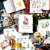 Treehouse Nature Study: Four Seasons Collection, Primary Years ...