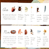 Wonder of Nature Cursive Copywork (Digital Download) – Treehouse ...