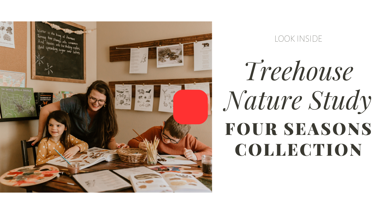 Free Birds of Prey Unit Study – Treehouse Schoolhouse