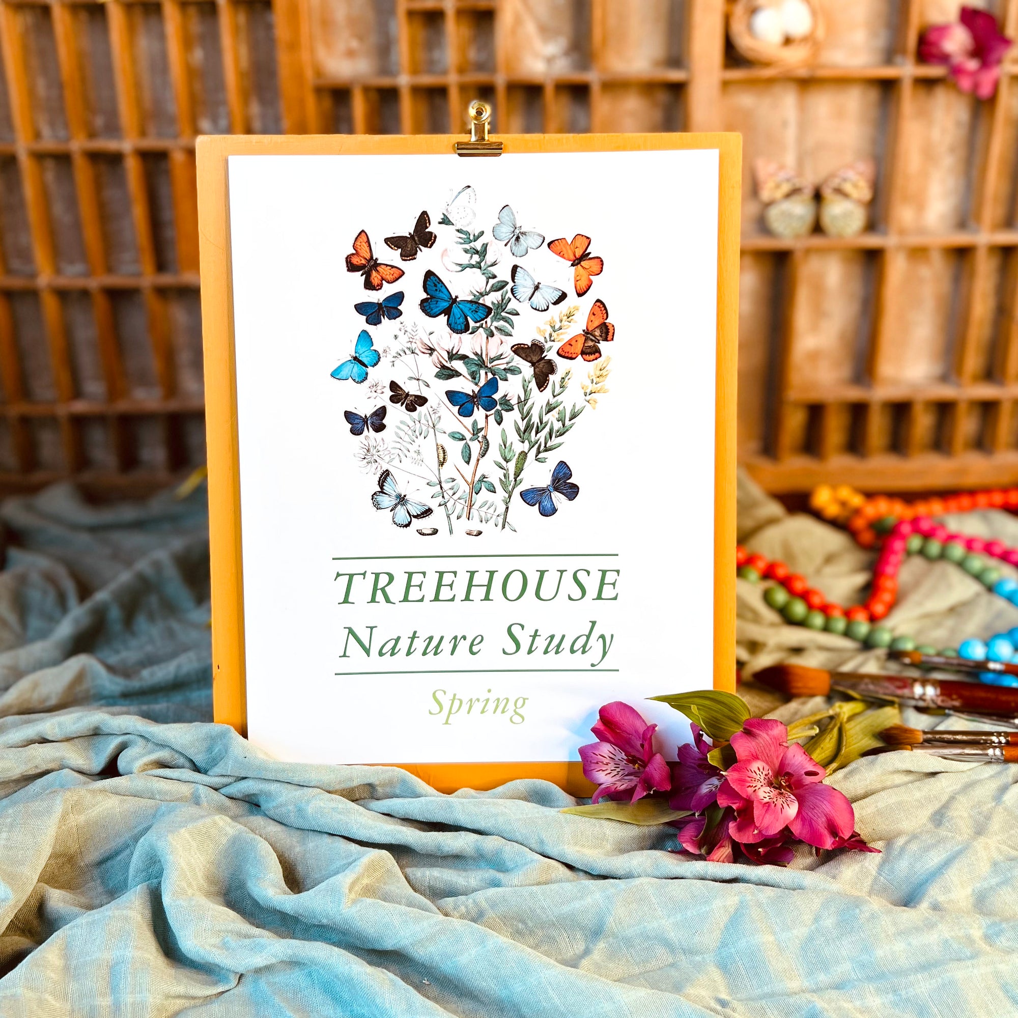 Treehouse Nature Study: Spring – Treehouse Schoolhouse