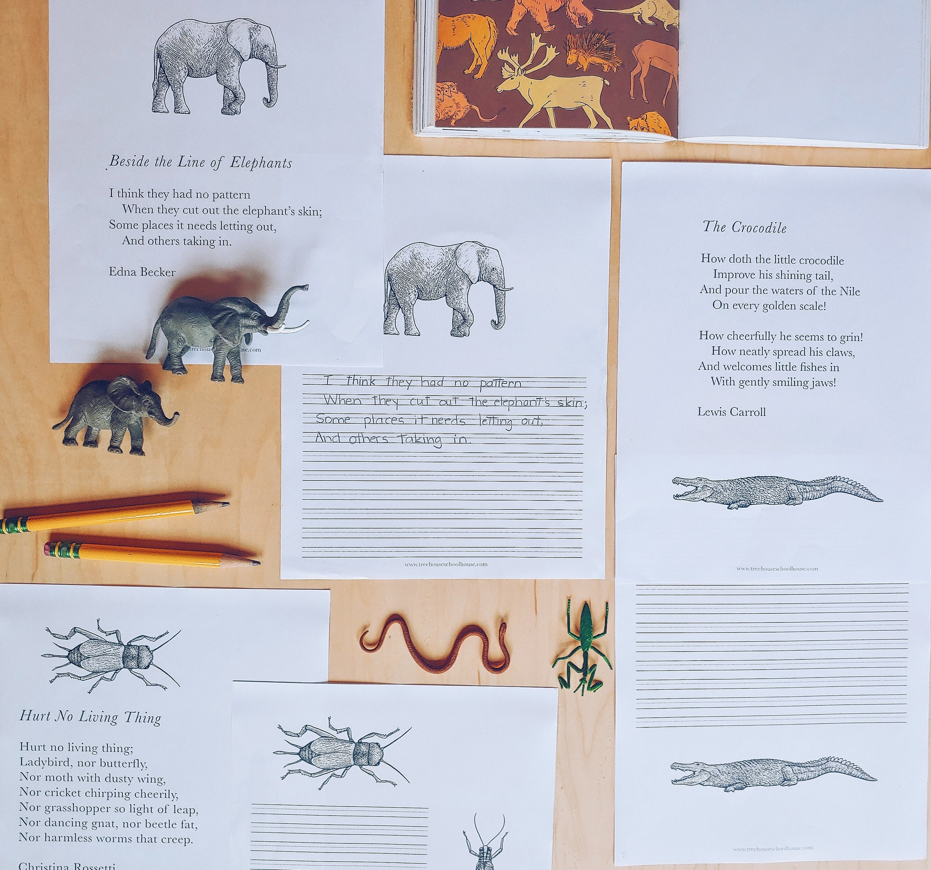 Nature Poetry Collection – Treehouse Schoolhouse