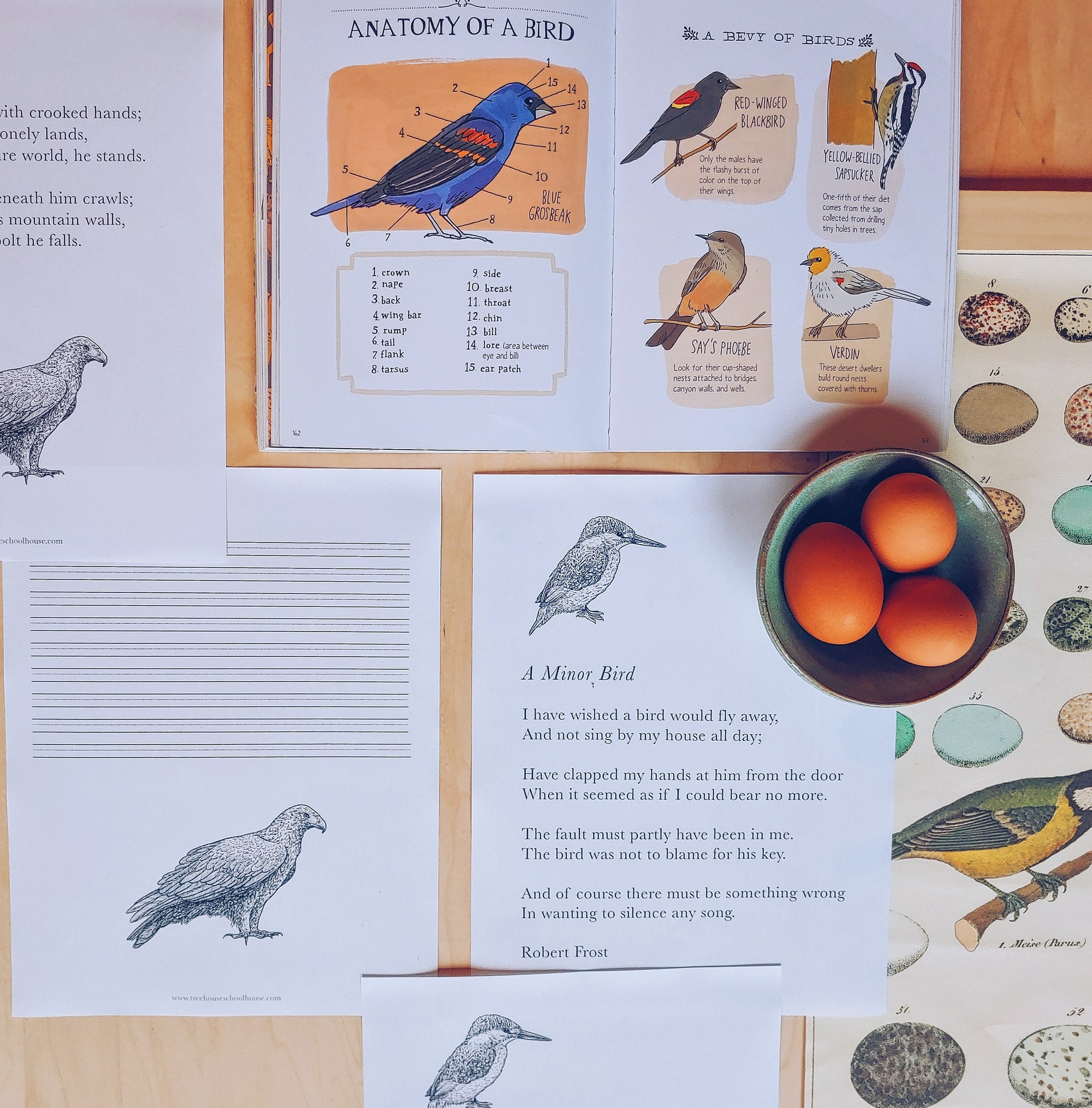 Nature Poetry Collection – Treehouse Schoolhouse