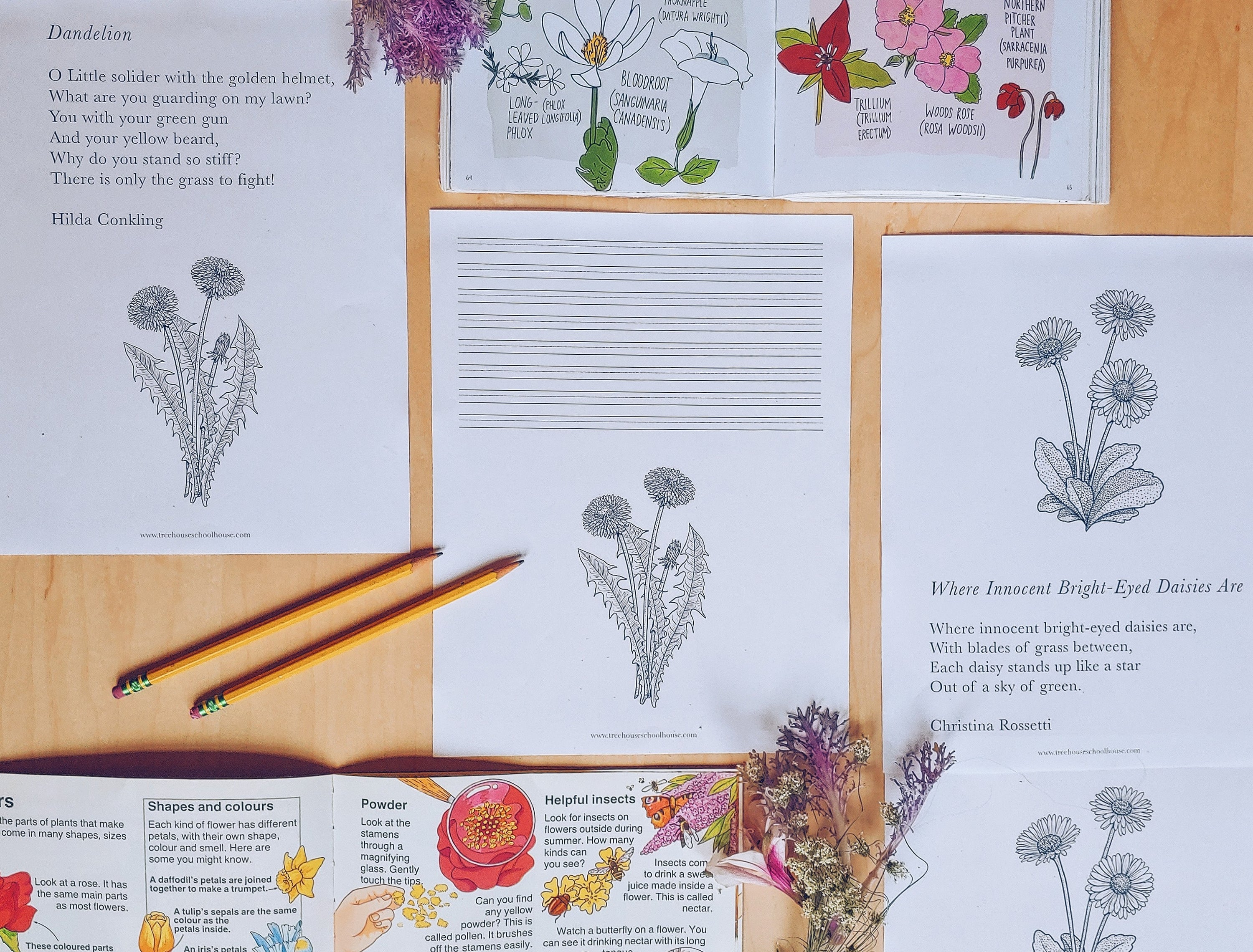 Nature Poetry Collection – Treehouse Schoolhouse