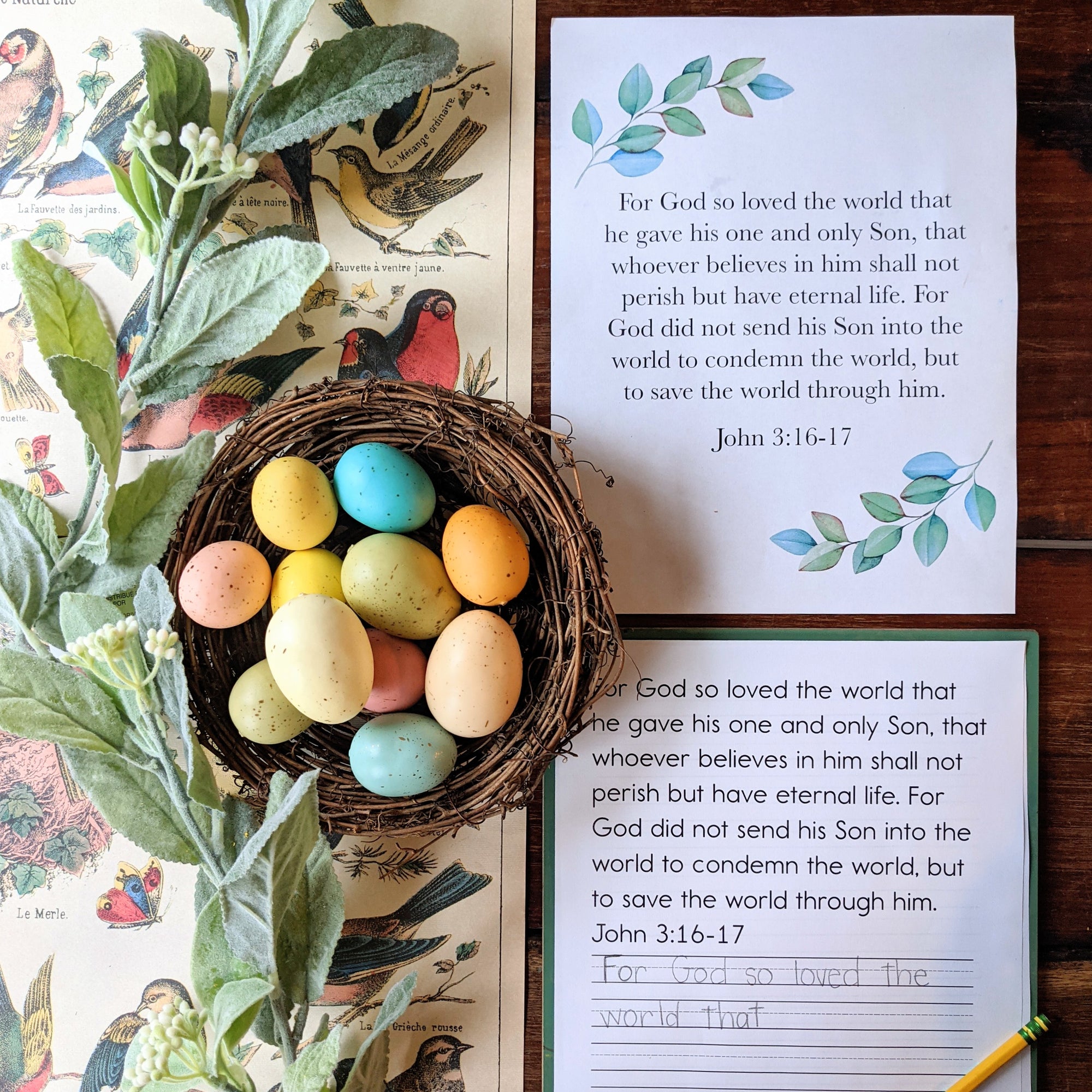 An Expectant Easter - Small Group License – Treehouse Schoolhouse