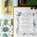 Treehouse Nature Study: Autumn, Primary Years (Small Group License ...