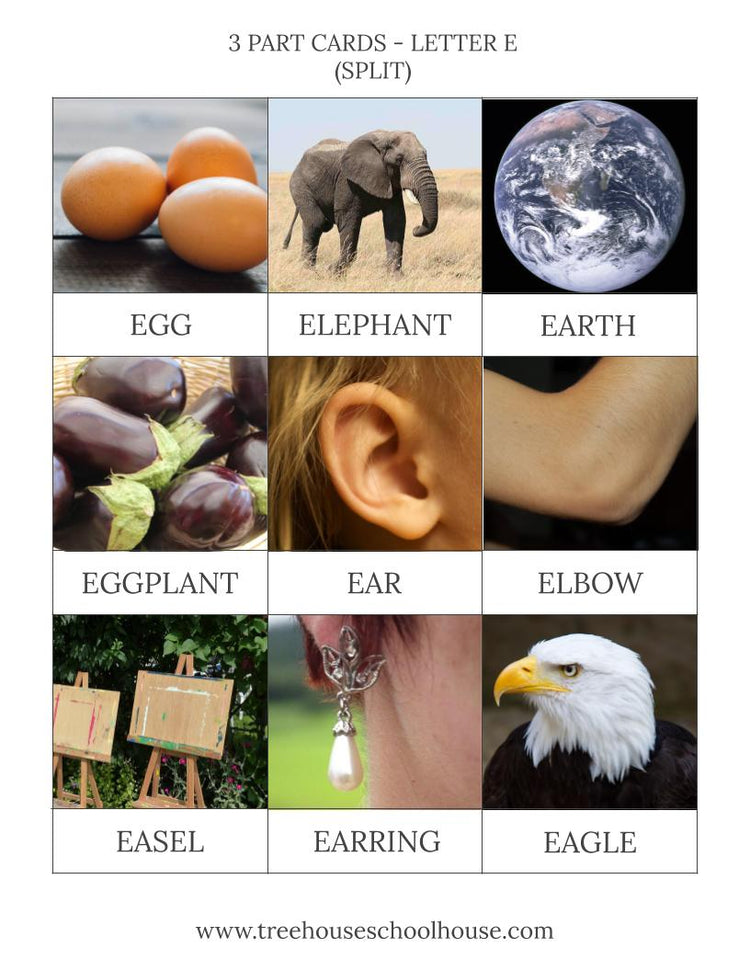 Alphabetical 3-Part Cards – Treehouse Schoolhouse