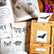 Treehouse Nature Study: Four Seasons Collection, Primary Years ...