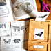 Treehouse Nature Study: Four Seasons Collection, Primary Years ...