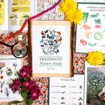 Nature – Treehouse Schoolhouse