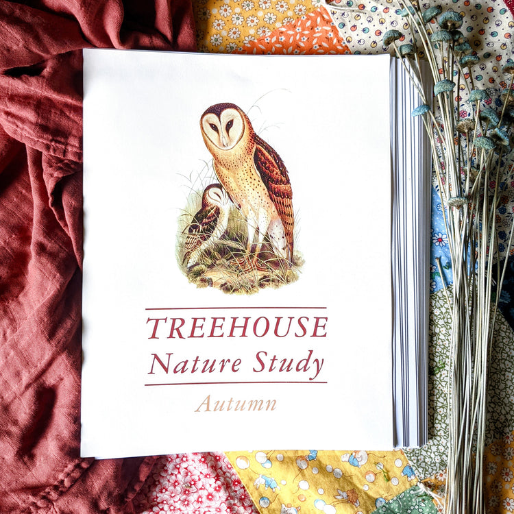 Nature – Treehouse Schoolhouse
